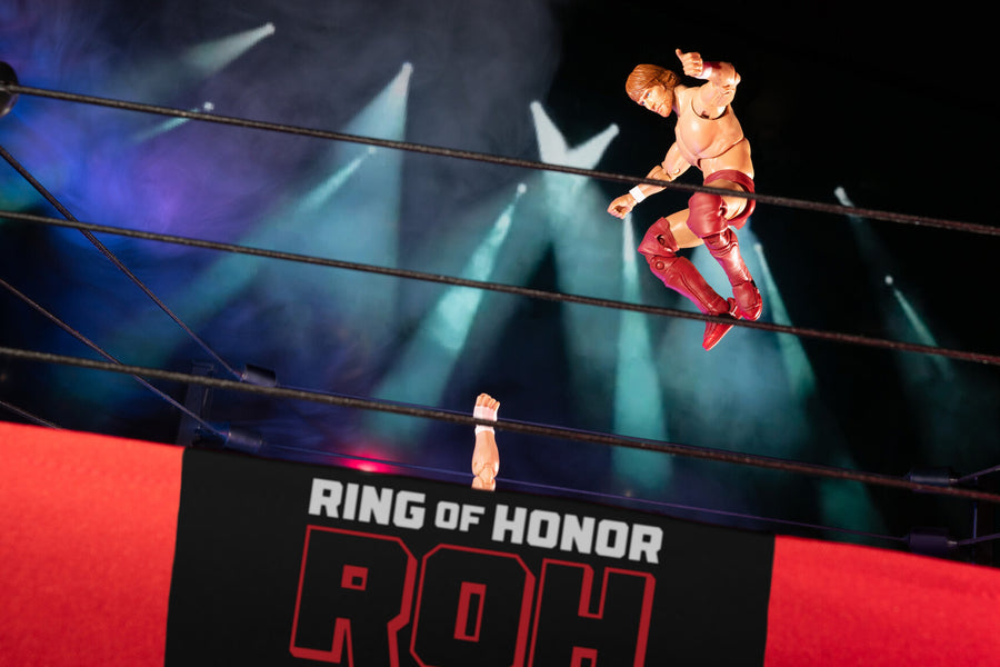 ROH Ring Of Honor - Bryan Danielson Jazwares Vault Action Figure ...