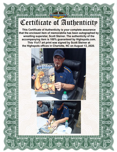 Highspots - "Big Poppa Pump" Scott Steiner "Math Promo" Comic Art Hand ...