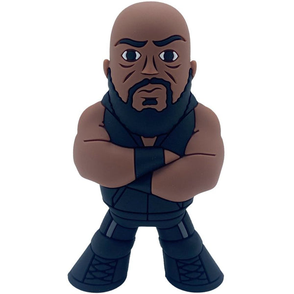 ROH - Micro Brawlers : Shane Taylor Figure – WrestlingStore.co.uk